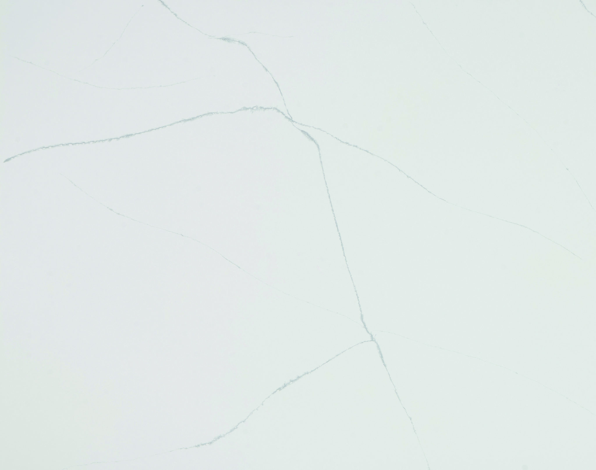 Diresco Noblesse White pol. - Monser